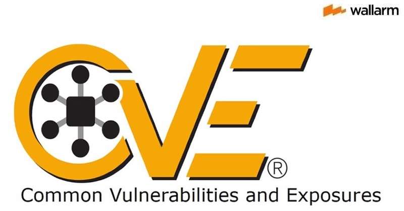 What is CVE? Common Vulnerabilities & Exposures Explained